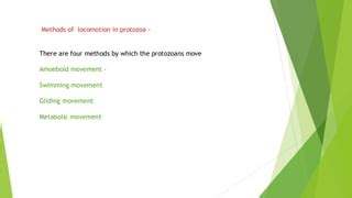 Locomotion In Protozoa Details Explain All Type With Pictures PPT
