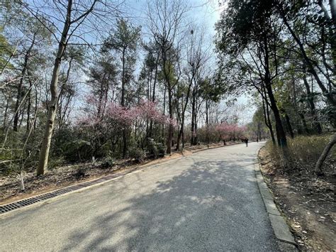 大蜀山游记偷得浮生半日闲 llyのblog