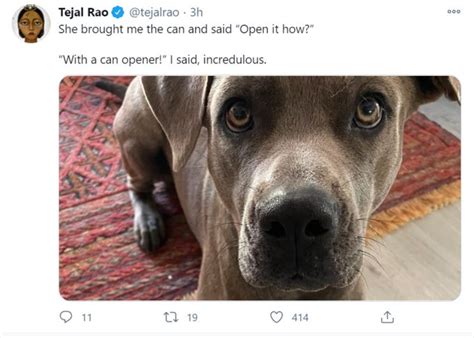 20 Bean Dad Memes Ideas Dad Memes Dankest Memes Memes