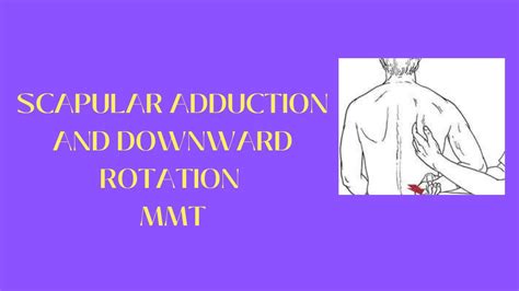 Easy Way Of Mmt Of Scapular Adduction And Downward Rotation Youtube