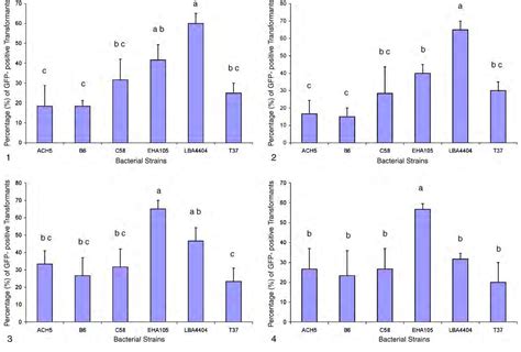 Figure 1 From Optimization Of Agrobacterium Mediated Transformation Parameters For