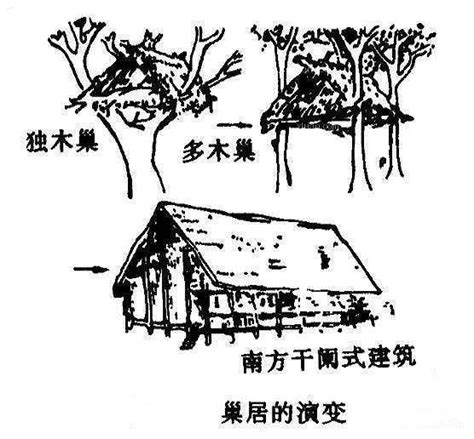 人文巢湖之有巢氏的传说 人类