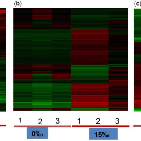Heatmap Showing Differential Expression Pattern Of Transcripts At 0and Download Scientific