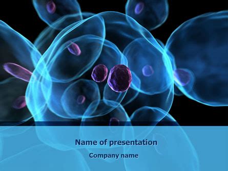 Stem Cells Presentation Template For PowerPoint And Keynote PPT Star