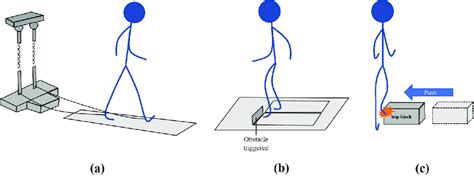 Some Trip Like Perturbation Methods Conducted In The Selected Studies