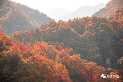 这个秋天让我们跟随镜头一起感受洛阳白云山秋之韵 中原 秋色 畅游