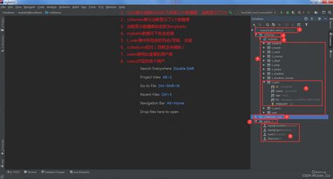 Idea连接mysql数据库并执行sql查询操作 源码巴士