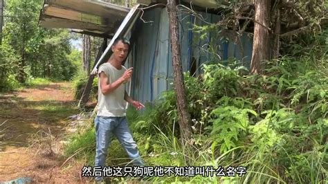 大叔养了一只不知名的狗，长大后发现越养越不对劲，无奈报警处理 Youtube