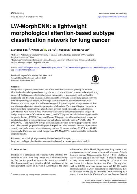Lw Morphcnn A Lightweight Morphological Attention Based Subtype