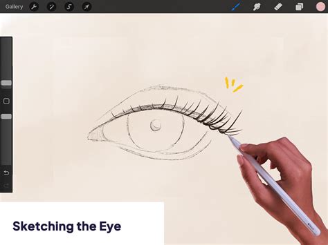 How To Draw Eyelash In Procreate Brush Galaxy