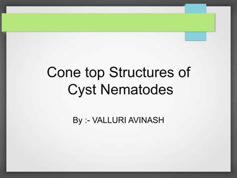 Cone Top Structures Of Cyst Nematodes And Their Identification Ppt