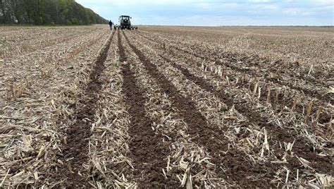 Завдяки Strip Till урожайність в динаміці зростає витрати на паливо