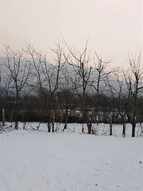 七絕 雪霽行 每日頭條