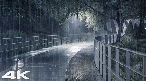 폭우가 몰아치는 밤에 거센 천둥 강한 비가 내리는 공원 빗소리 Asmr과 불면증 극복 Youtube