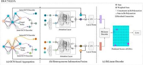 GCN Based Heterogeneous Complex Feature Learning To Enhance