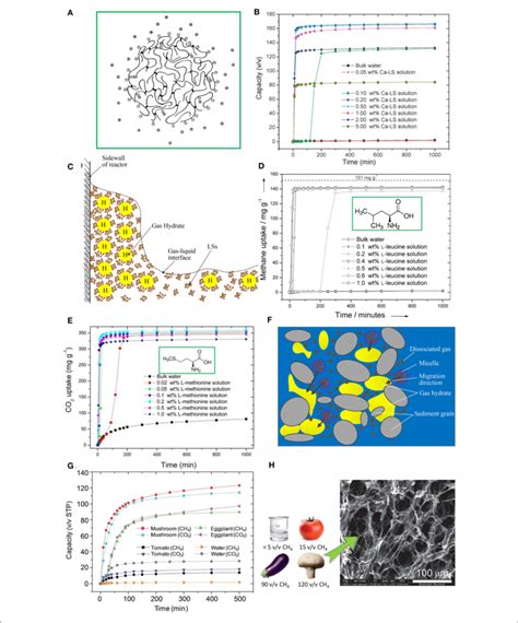 A Spherical Microgel Model Of An Ls Macromolecule Reproduced From