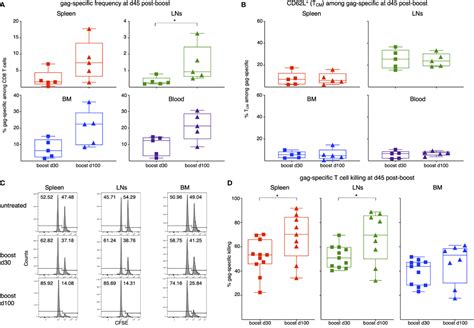 Frontiers Corrigendum Improved Memory Cd8 T Cell Response To Delayed
