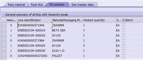 Delivery And Shipment Handling Units SAP Community