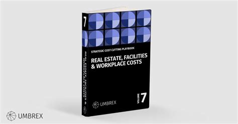 Implementation Governance And Value Capture Umbrex