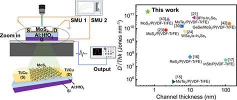 Acs Applied Materials And Interfaces Vol 16 No 8 Acs Publications