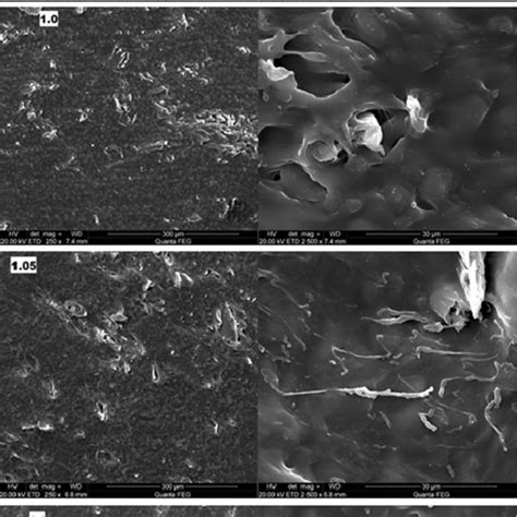 Preparation Of Bio Based Polyurethane Composites Download Scientific Diagram
