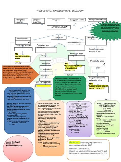Woc Hiperbilirubin Dikonversi Pdf