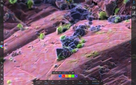 2024 Sem Insights Q3 Nanoscience Instruments