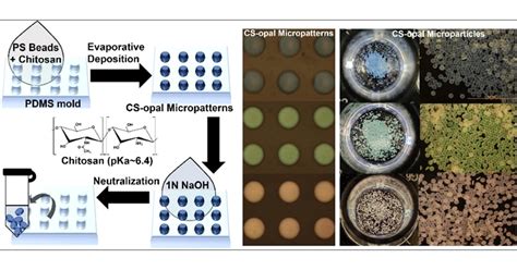 Micromolding Based Fabrication Of Chemically Functional And Stimuli