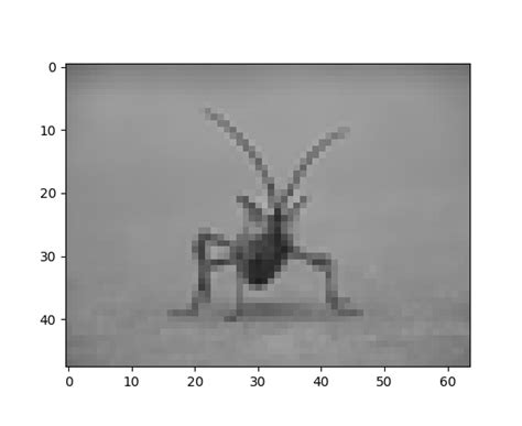 image tutorial — matplotlib 2 0 2 documentation