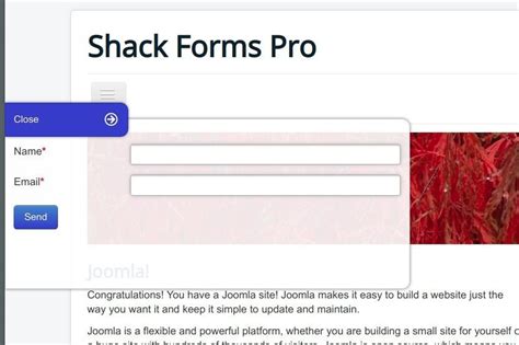 email list integrations with shack forms mailchimp and acymailing