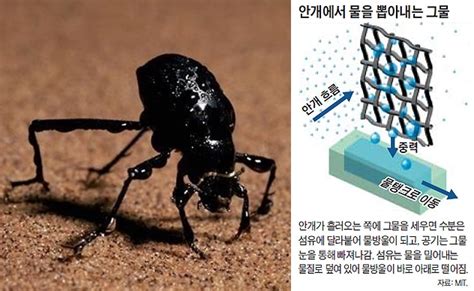 꽃청춘 특집 나미비아 사막에서 과학찾기 네이버 블로그