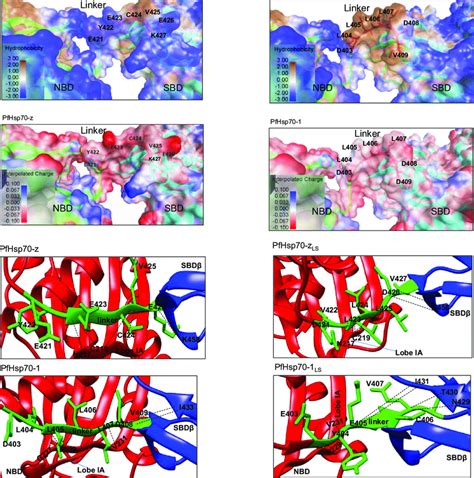 Linker Switch Mutations Are Predicted To Generate Unique Allosteric