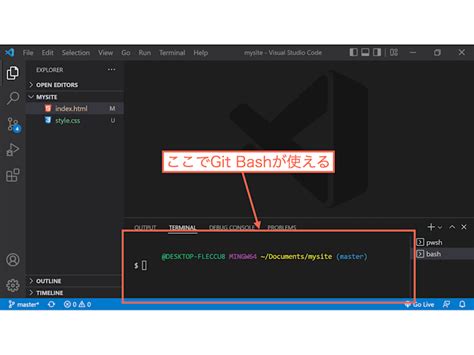 Vscodeでgit Bashを使う方法【設定変えるだけ】 Ralacode