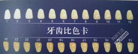 牙齿色卡牙齿色度卡图片 伤感说说吧