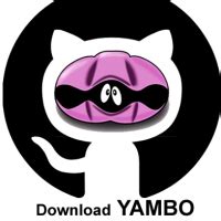 Github