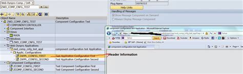 Techsap Controlling Ui Elements Of The Webdynpro View By Application