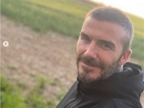 デヴィッド・ベッカム、薄毛報道後のふさふさヘア姿に「本物の髪？」憶測飛び交う（テックインサイト）