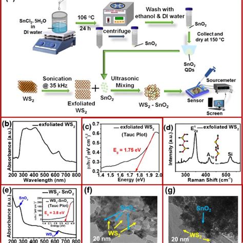 A Schematic Of Step Wise Sensor Fabrication Involving The Exfoliation