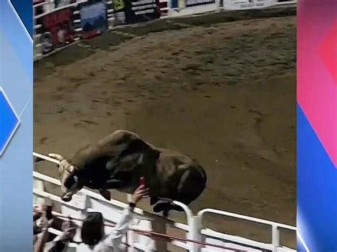 ‘theres A Bull Out Bull Jumps Sisters Rodeo Arena Fence Several