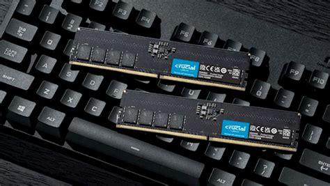 价格狂跌 美光发布DDR5 5600内存单条高达48GB N软