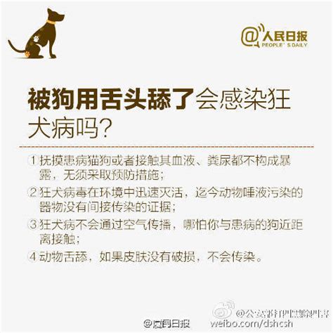 【误区：狂犬病潜伏期长达10年、20年？错的 高清图片，堆糖，美图壁纸兴趣社区