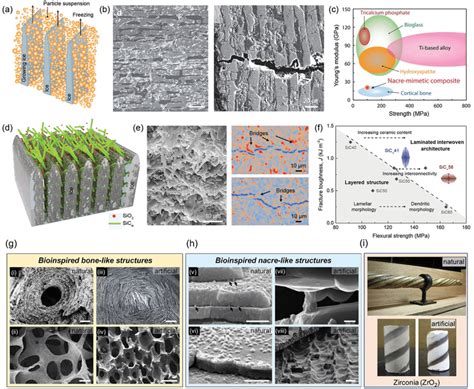 Bioinspired Designs At Nano‐ To Microlength Scales By Freeze Casting
