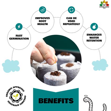 Coco Coir Babe Big Compost Coco Dots Coir Pellet 40mm Homebase