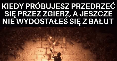 Tu na razie jest ściernisko ale będzie chuj dupa i kamieni kupa