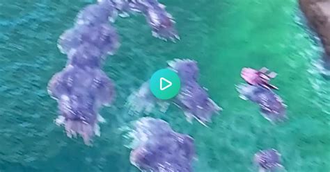 Moduwar Vertex Shaders Wip Album On Imgur