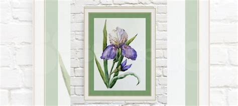Картина акварелью Ирисы купить в Москве с доставкой Товары для дома и дачи Авито