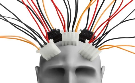Conectan Por Primera Vez A Un Cerebro Con Internet Infobae