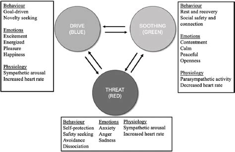 Interaction Between The Three Major Emotion Regulation Systems With