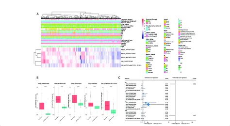 Clinical Characteristics And Prognostic Significance Of Programmed Cell