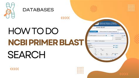 Primer Blast